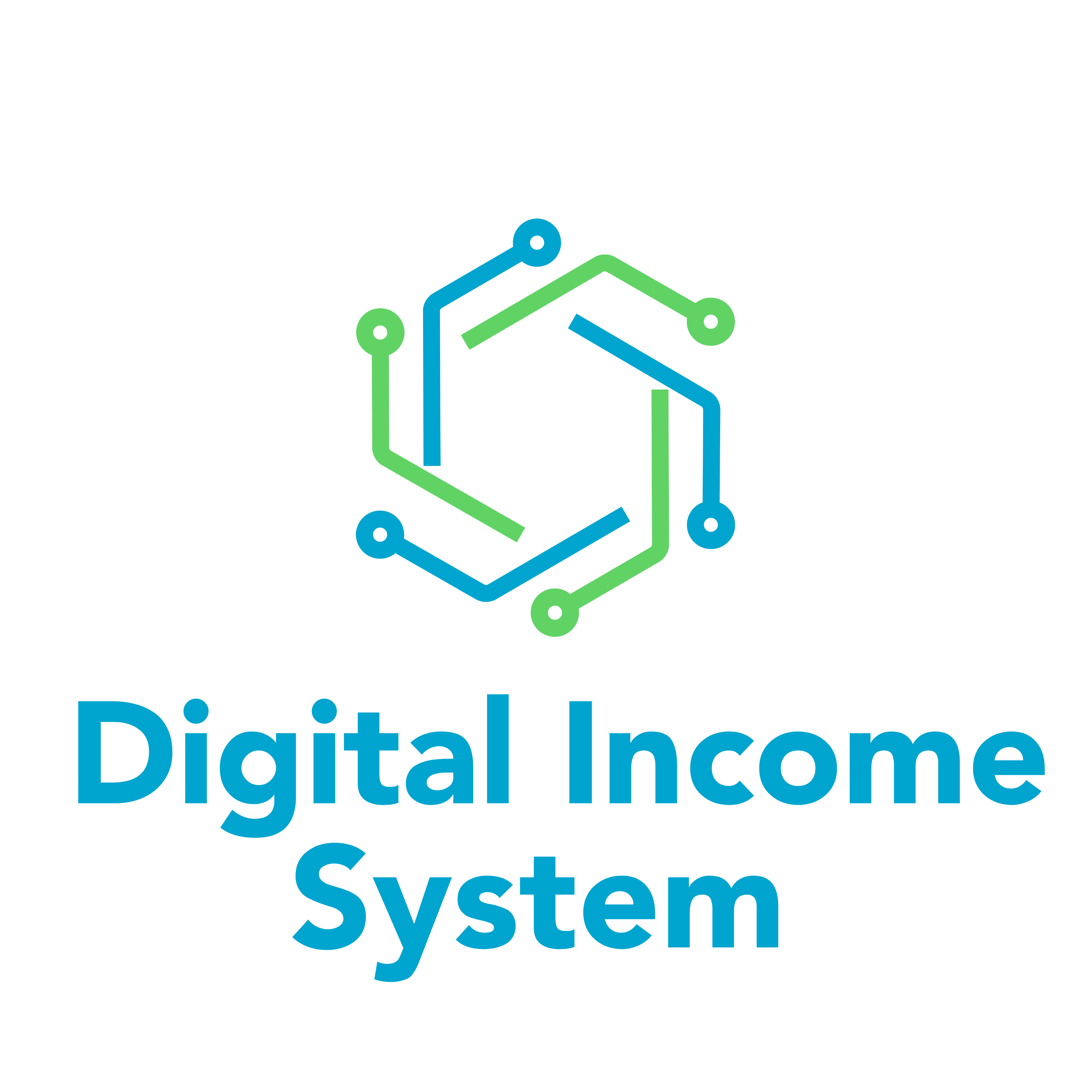 Digital Income System on Selstack