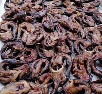 Dominion Farms on Selstack